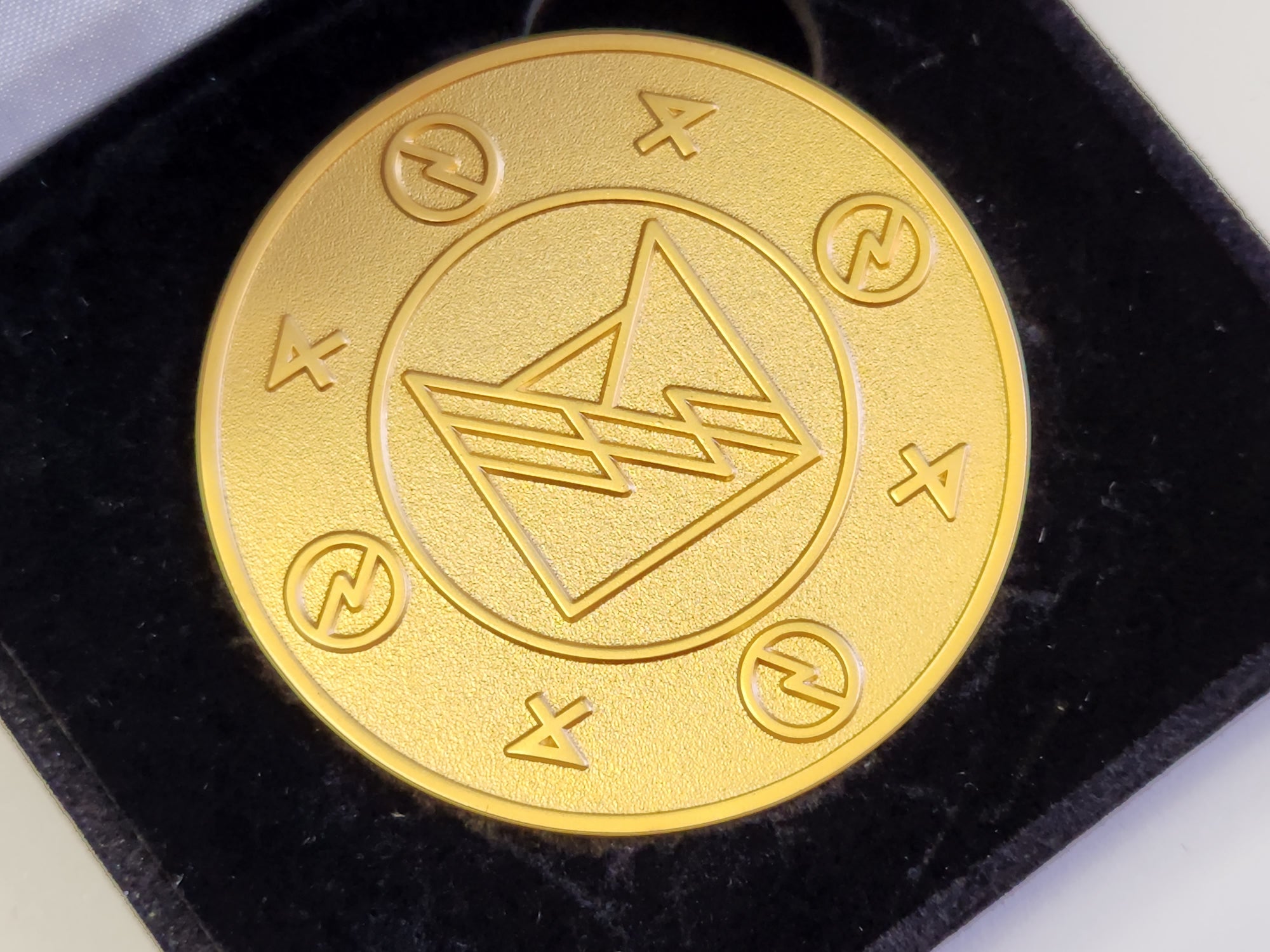 Thunderclan Coin Collector's Edition | Official Warrior Cats Store